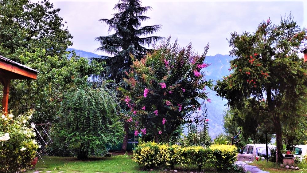 Bangloo - Cottage Hotels in Manali | Luxury Cottage | Treetops Cottage